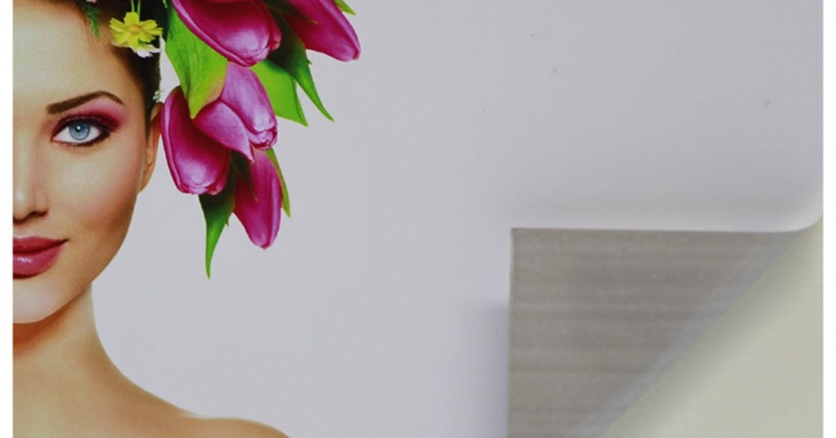 M-ML6510 | ProfiSign